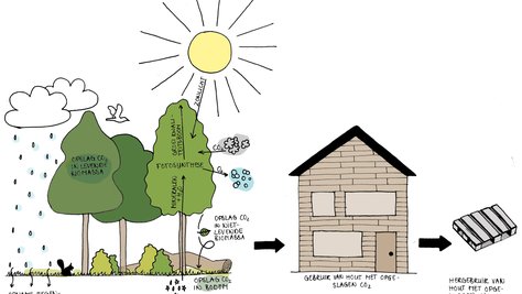 Pilot klimaatslim bos - HNS