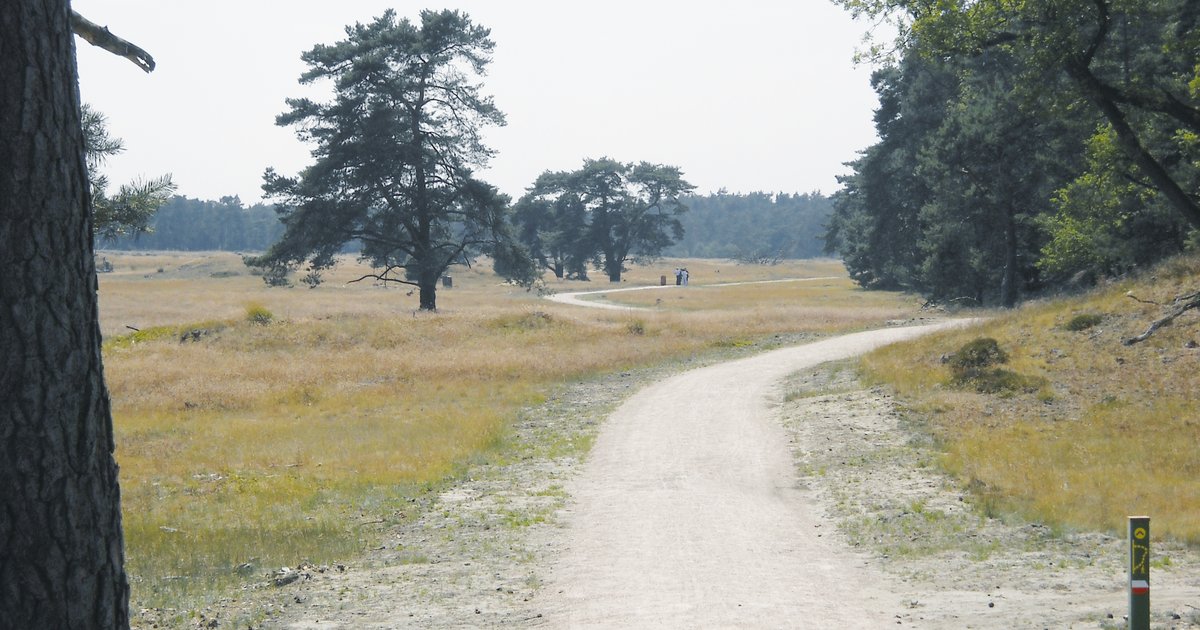 Cultuurhistorische visie NP De Hoge Veluwe - HNS