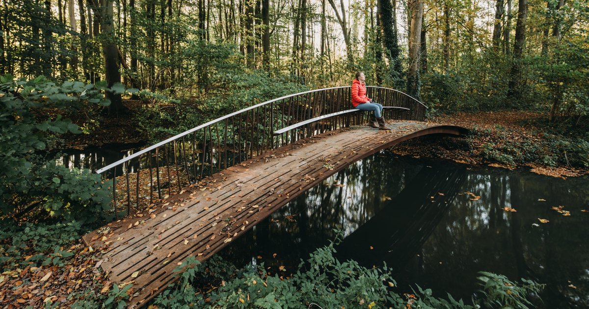 Bridges Windesheim nominated for ArchDaily 2023 - HNS